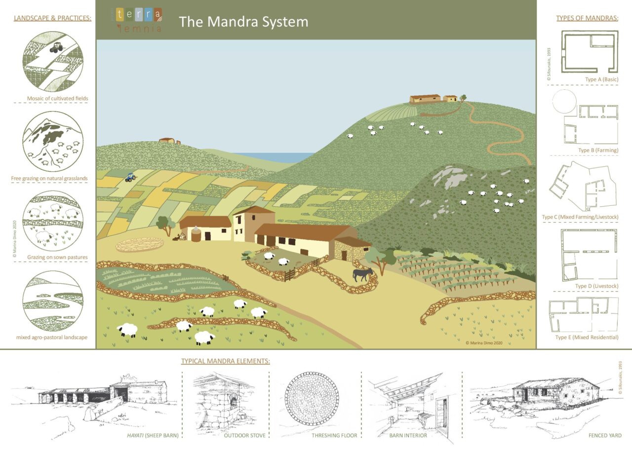 Mandra system of Lemnos, a short documentary